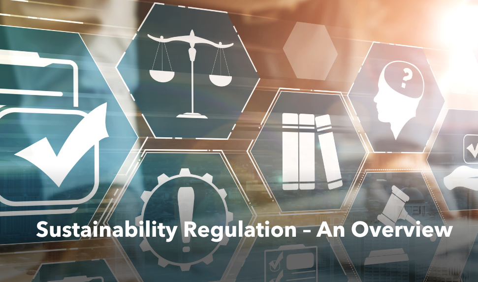 Sustainability Regulation – An Overview - GoCodeGreen